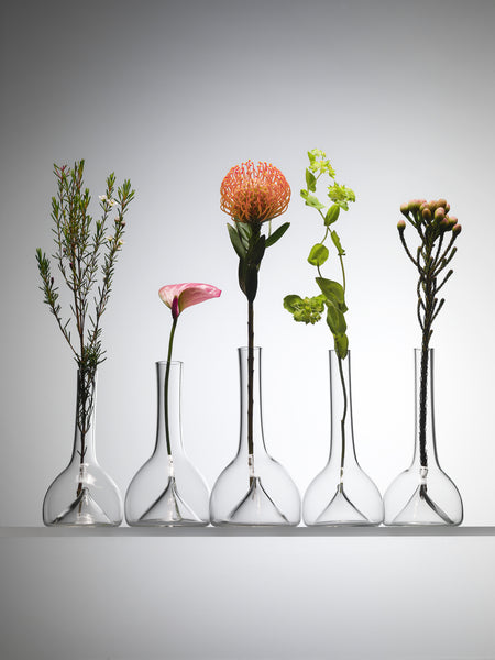 May-flowers! – Tablo Store